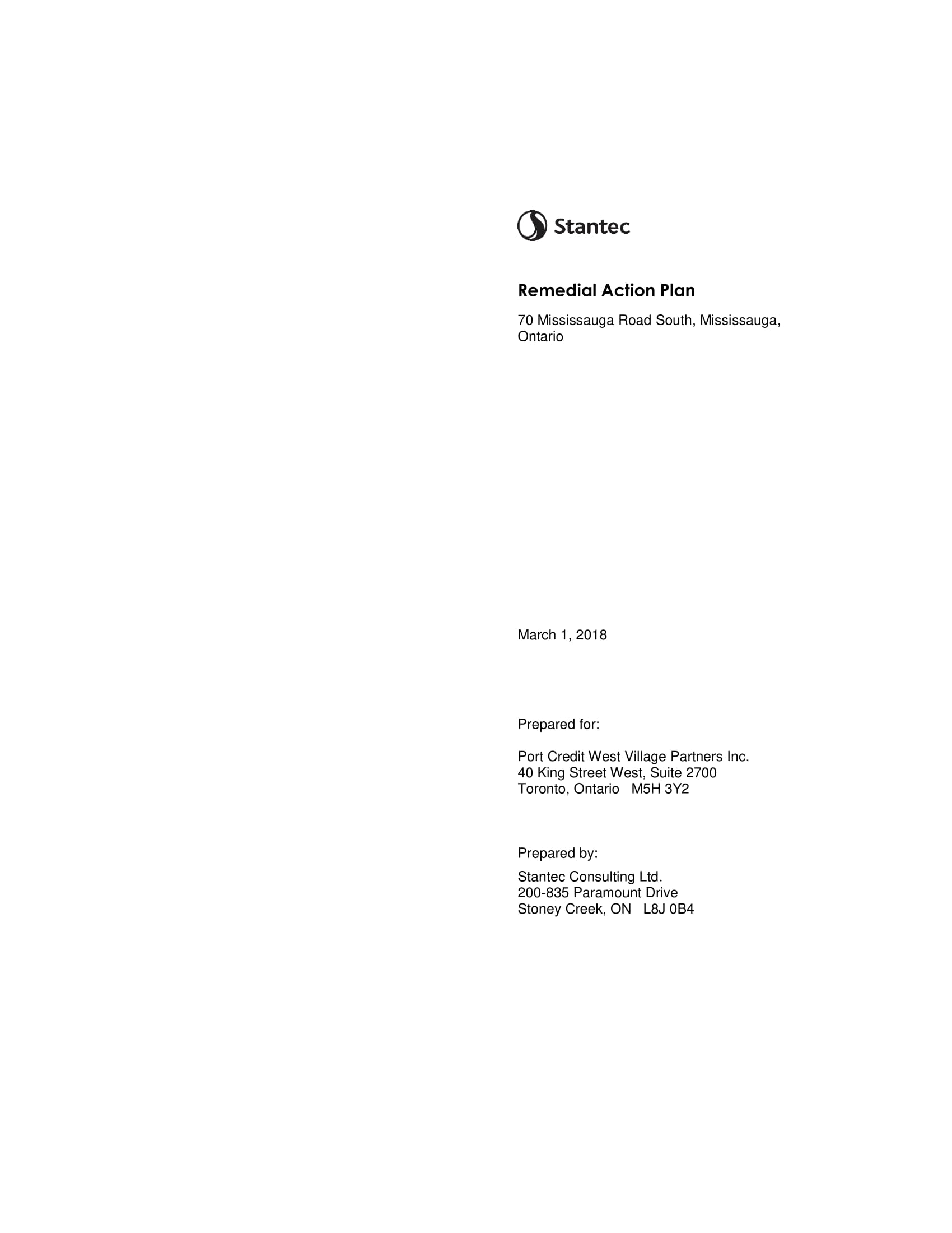 Remedial Action Plan - 9+ Examples, Format, Pdf, Tips