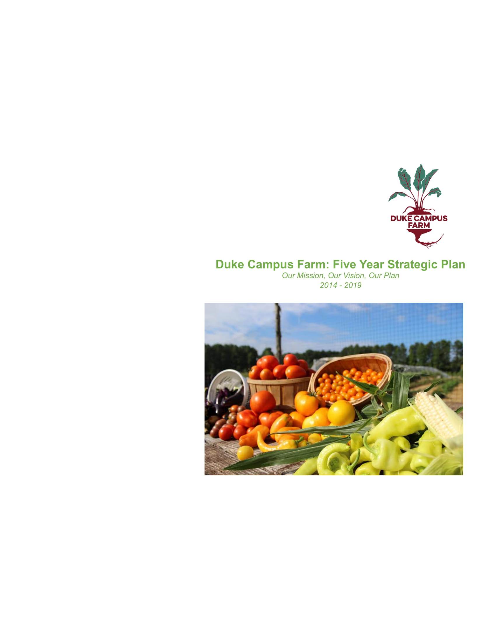 5 Year Strategic Plan 14 Examples Format Pdf Examples