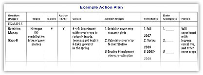 31+ Work Action Plan Examples - PDF | Examples