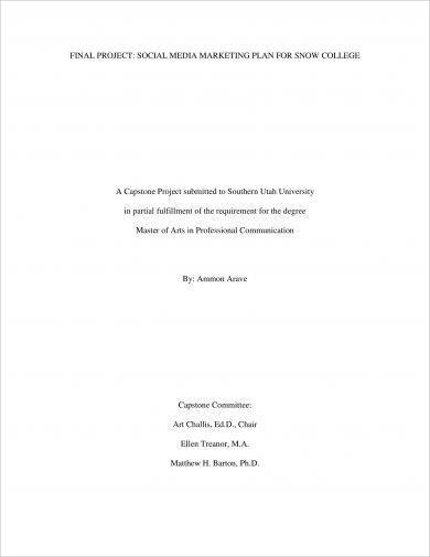 Marketing Project Plan - 9+ Examples, Format, Pdf