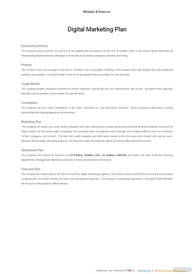 Digital Marketing Plan Examples - 28+ in PDF | MS Word | Google Docs ...