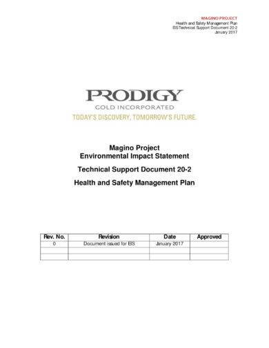 HealthSafety Strategic Plan - 9+ Examples, Format, Pdf | Examples