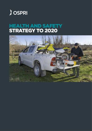 HealthSafety Strategic Plan - 9+ Examples, Format, Pdf | Examples