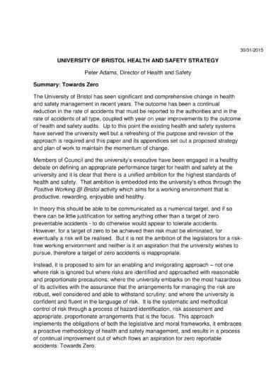 9 Health And Safety Strategic Plan Examples PDF Examples