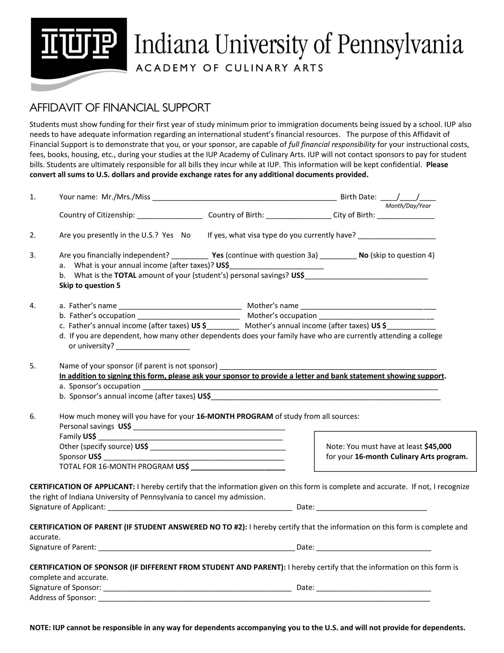 Affidavit Of Financial Support 12 Examples Format Pdf