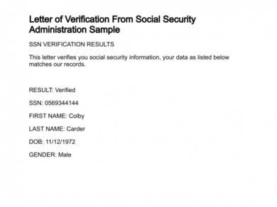 Verification Letter - 20+ Examples, Format, Sample | Examples