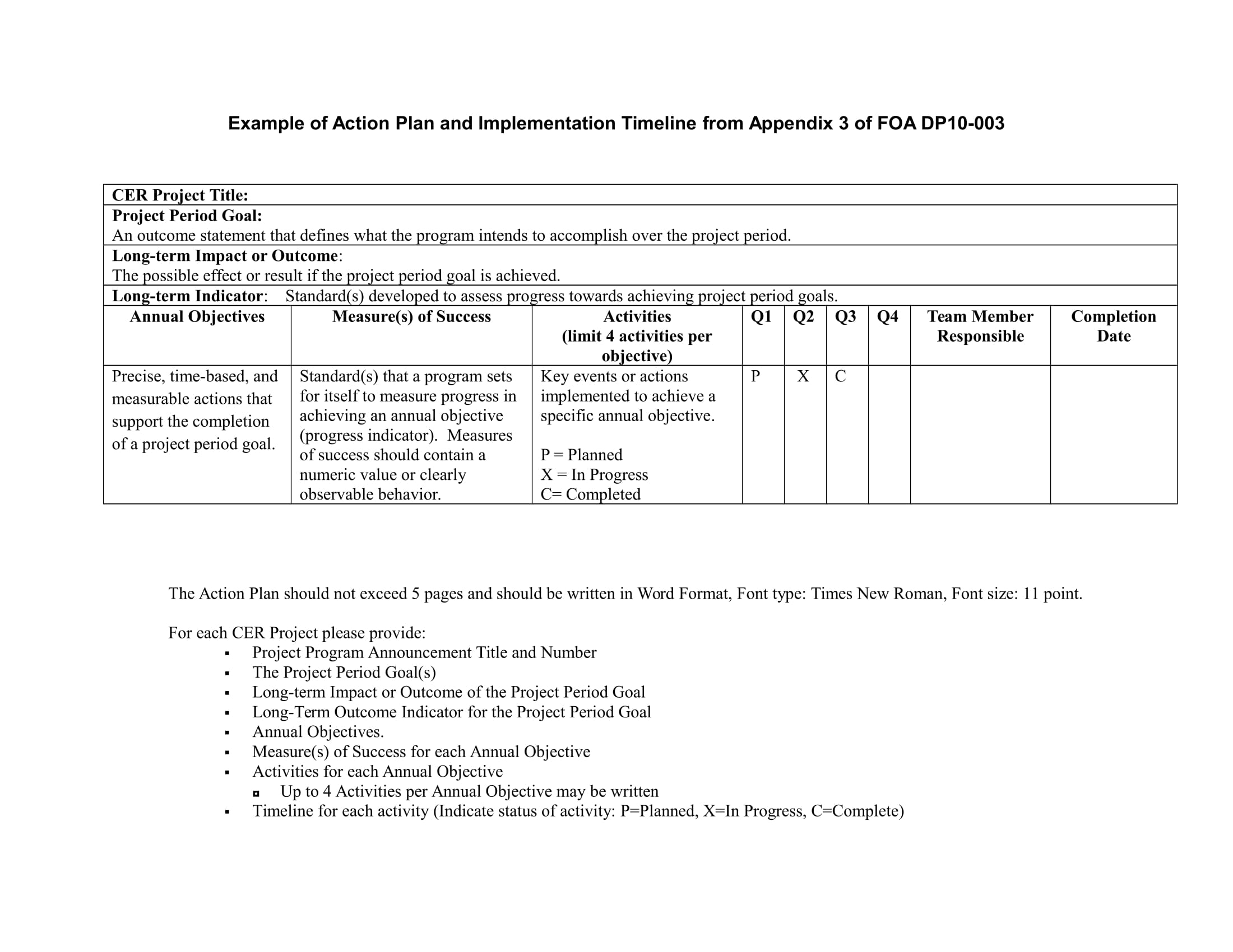 Action Plan Sample Implementation Plan HQ Printable Documents