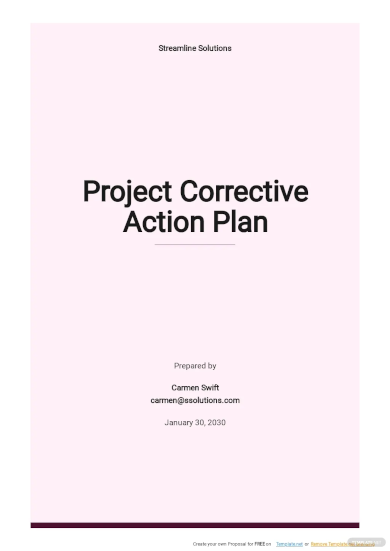 Project Action Plan - 23+ Examples, Google Docs, Word, Pages, PDF, Tips