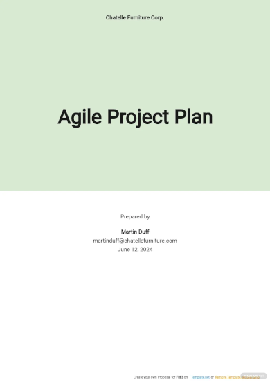 Agile Project Plan - 15+ Examples, Format, Pdf