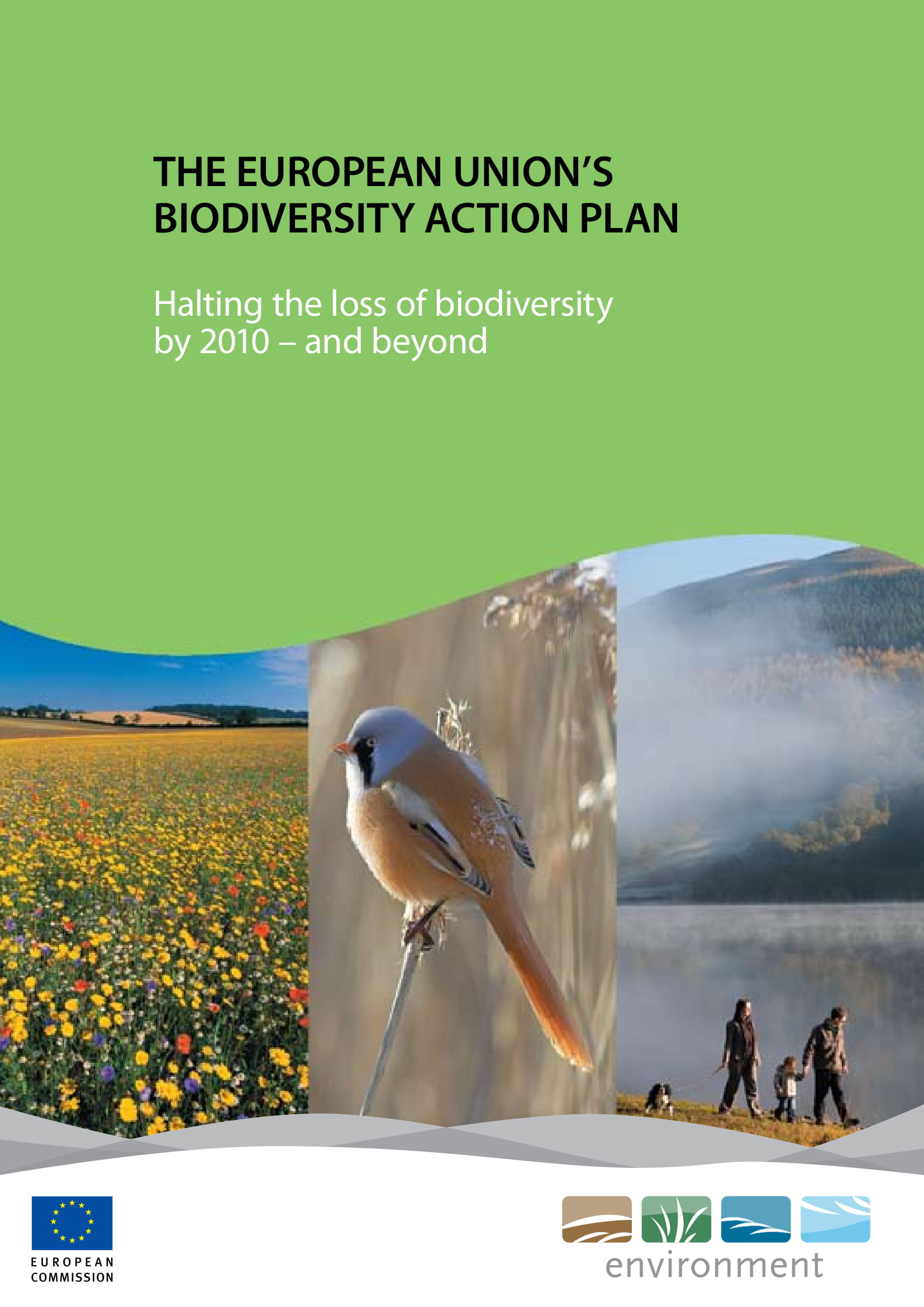Biodiversity Action Plan - 10+ Examples, Format, Pdf | Examples