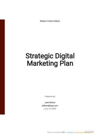 Digital Marketing Plan Examples - 28+ in PDF | MS Word | Google Docs ...
