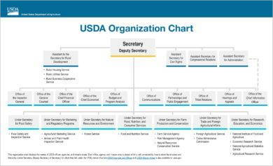 Organizational Flow Chart - 9+ Examples, Format, Pdf | Examples