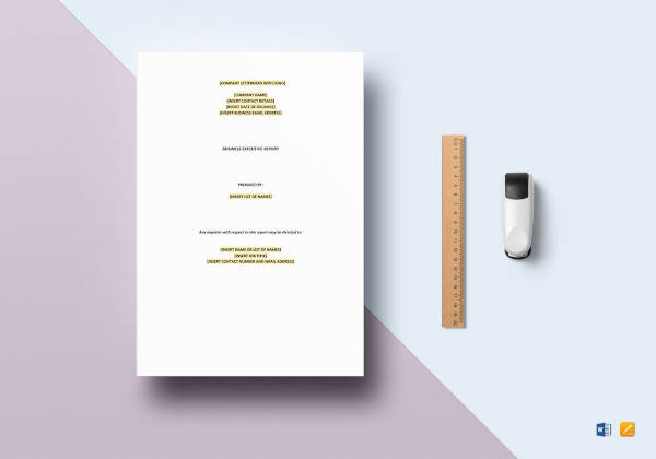 Professional Report - 26+ Examples, Format, Word, Pages, Pdf