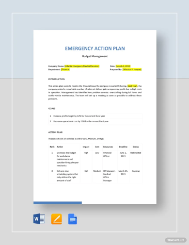 Printable Emergency Action Plan 26 Examples Format Pdf Examples