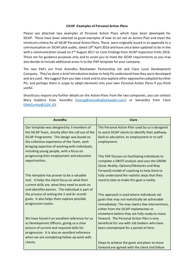 Personal Action Plan 11 Examples Format Pdf Examples