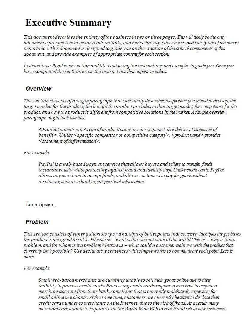  Critical Summary Template 10 Resume Summary Examples That Get 
