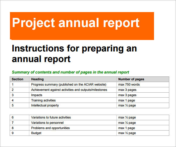Annual Business Report Examples 13 PDF Word Pages Examples