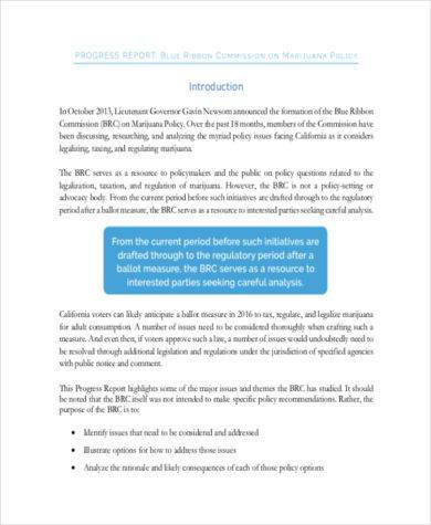 Professional Report - 26+ Examples, Format, Word, Pages, Pdf