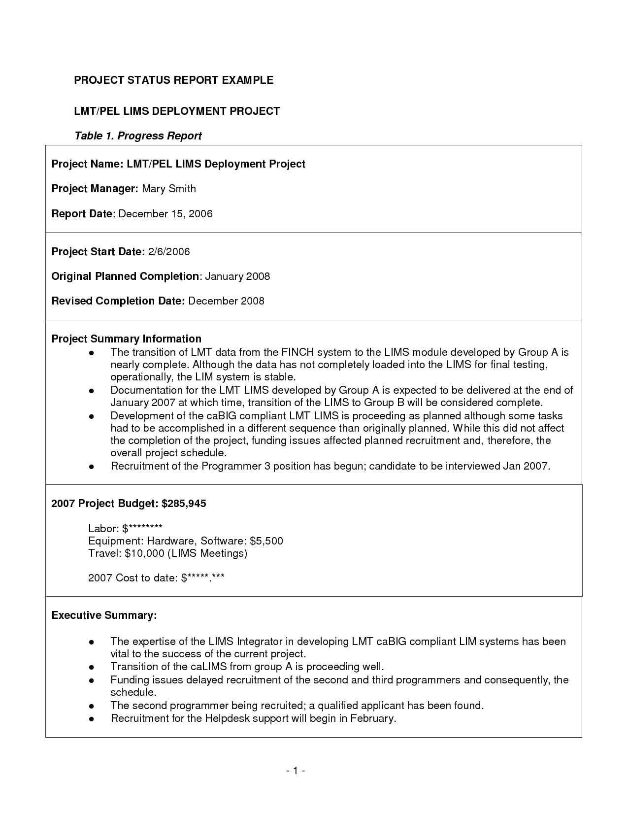 Project Status Report - 15+ Examples, Format, Pdf | Examples