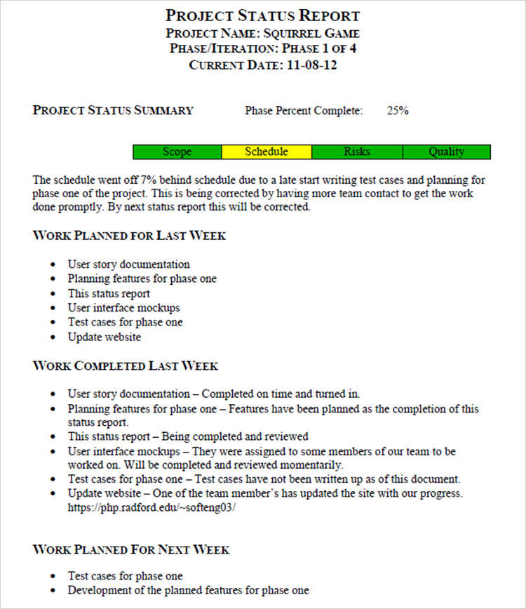 Project Status Report - 15+ Examples, Format, Pdf | Examples