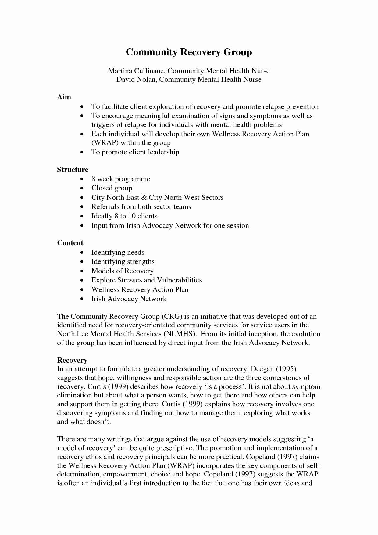 10 Wellness Recovery Action Plan Examples PDF Word Examples