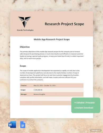 30+ Project Scope Examples in Word Google Docs Apple Pages PDF | Examples