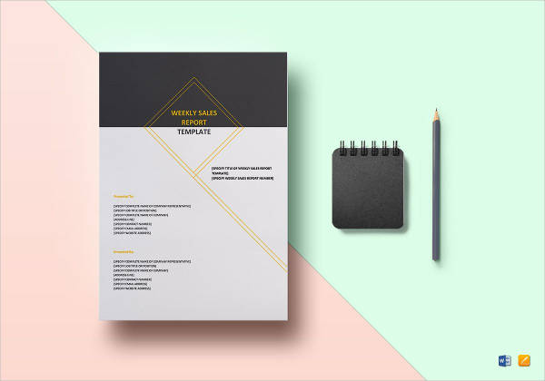 Weekly Sales Activity Report Examples 9 PDF Excel Examples