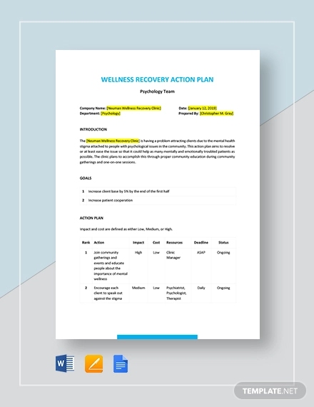 Wellness Recovery Action Plan - 10+ Examples, Format, Benefits, Pdf