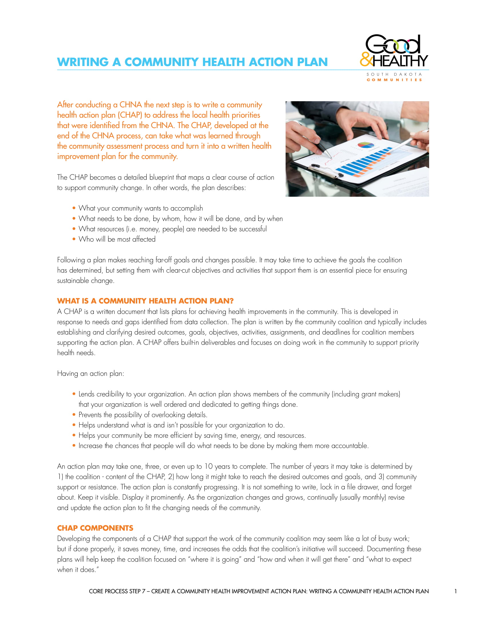Project Action Plan Examples 21 PDF Word Examples