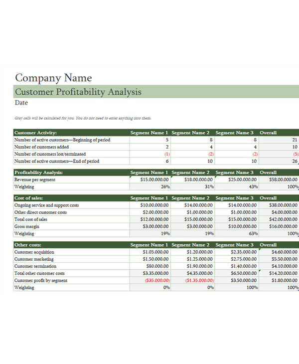 Customer Profitability Analysis - 9+ Examples, Format, Pdf | Examples
