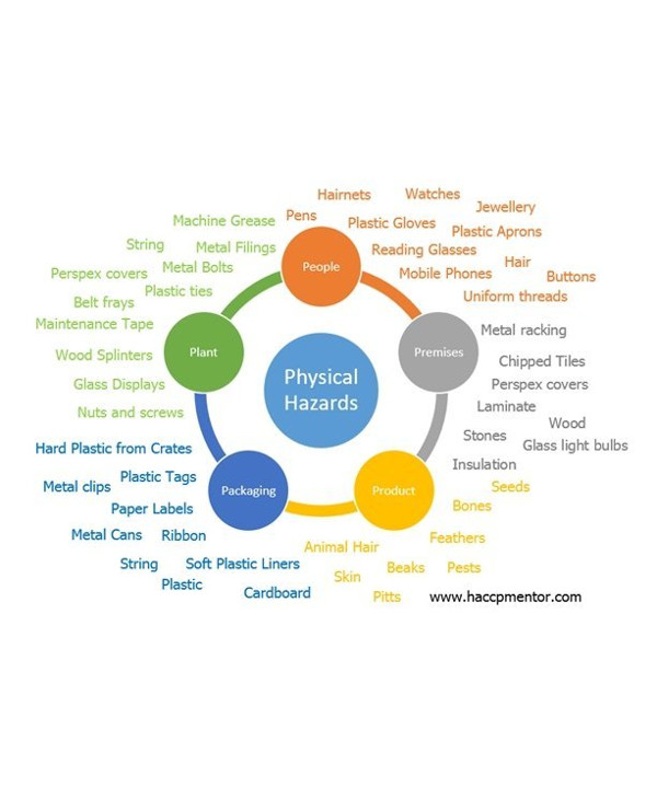 HACCP Hazard Analysis Examples - 10+ PDF | Examples