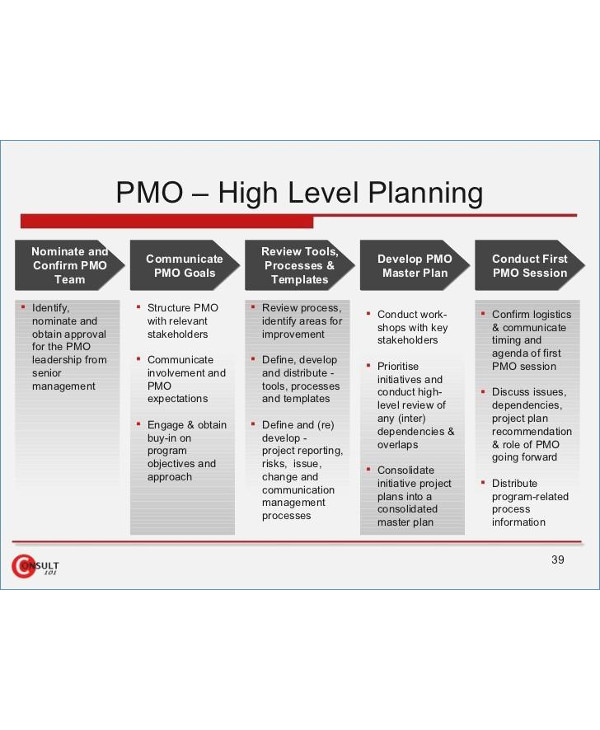 9 High Level Project Plan Examples PDF Examples