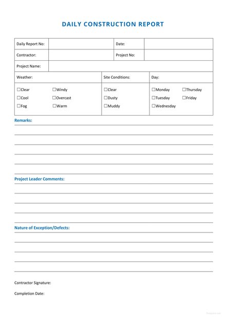 Daily Report 22 Examples Format Pdf Examples