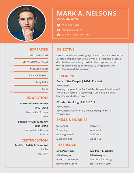 Professional Resume - 14+ Examples, Format, Sample | Examples