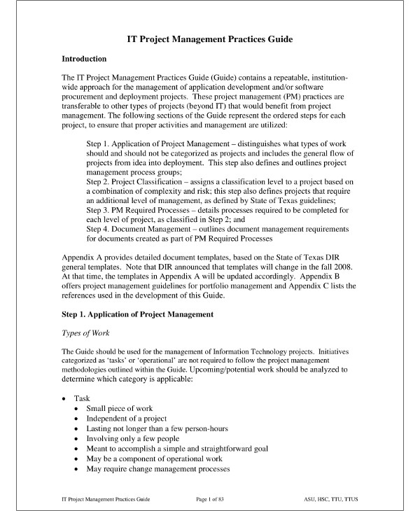 IT Project Plan 9 Examples Format Pdf Examples