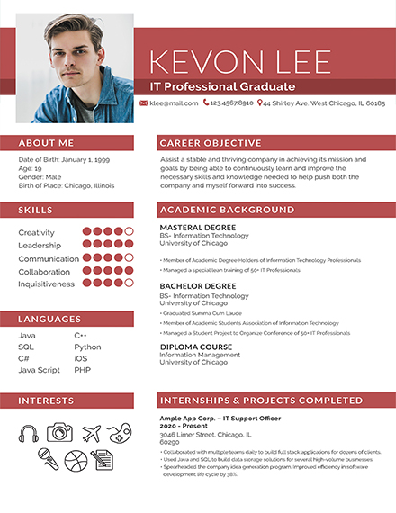 Professional Resume - 14+ Examples, Format, Sample | Examples