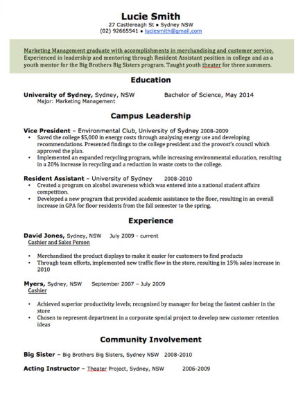 Professional Resume - 14+ Examples, Format, Sample | Examples