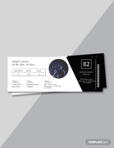 Concert Ticket - 30+ Examples, Format, Pdf | Examples