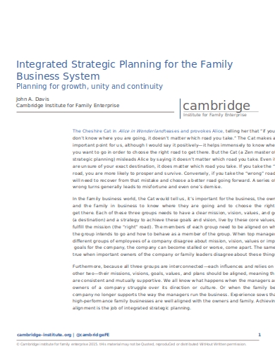 Family Strategic Plan - 10+ Examples, Format, Pdf | Examples