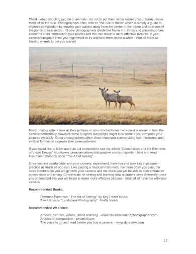 Photography Shoot Plan - 10+ Examples, Format, Pdf | Examples