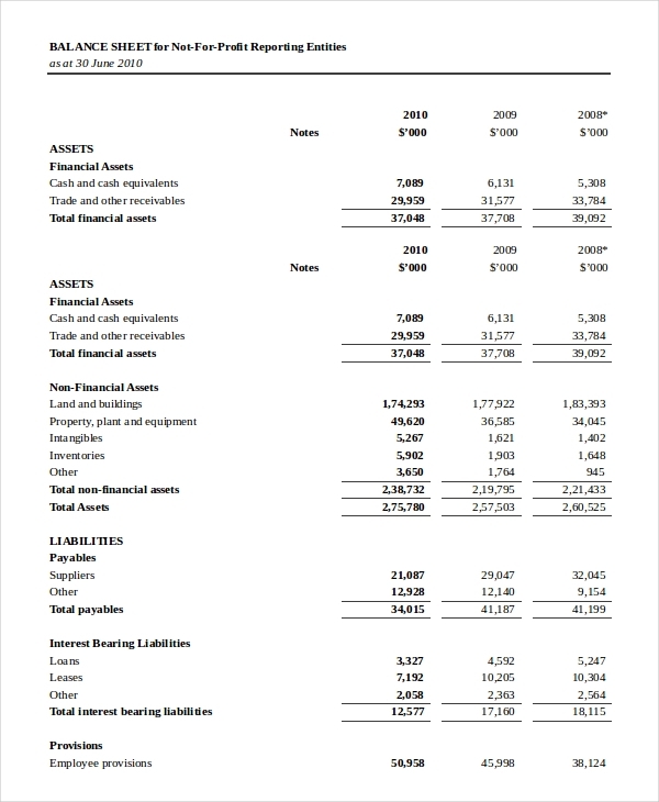 Nonprofit Balance Sheet Examples Format Pdf Examples