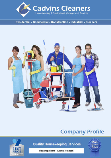Cleaning Service Business Plan 12 Examples Format Pdf Examples