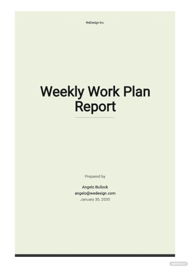Work Report - 29+ Examples, Format, Pdf | Examples
