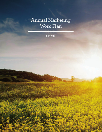 Marketing Work Plan - 17+ Examples, Format, Pdf | Examples