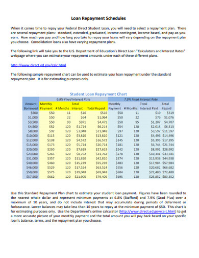 Repayment Schedule - 10+ Examples, Format, Pdf | Examples