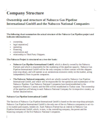 Company Structure - 14+ Examples, Format, Pdf | Examples