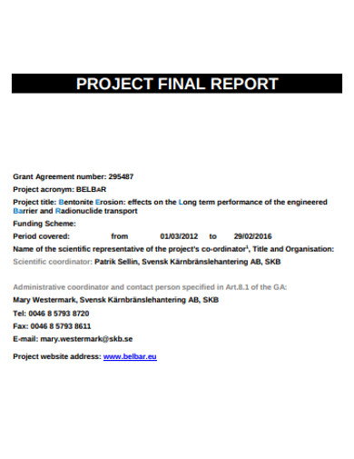 Project Final Report - 19+ Examples, Format, Pdf | Examples