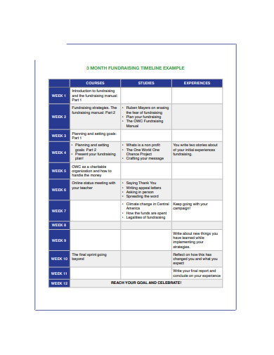 Fundraising Timeline - 6+ Examples, Format, Pdf | Examples