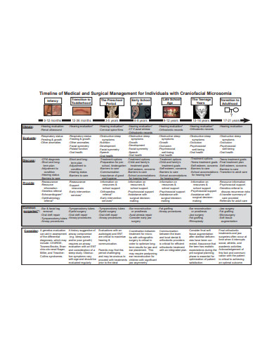 Management Timeline - 17+ Examples, Format, Pdf | Examples