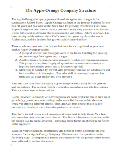 Company Structure - 14+ Examples, Format, Pdf | Examples